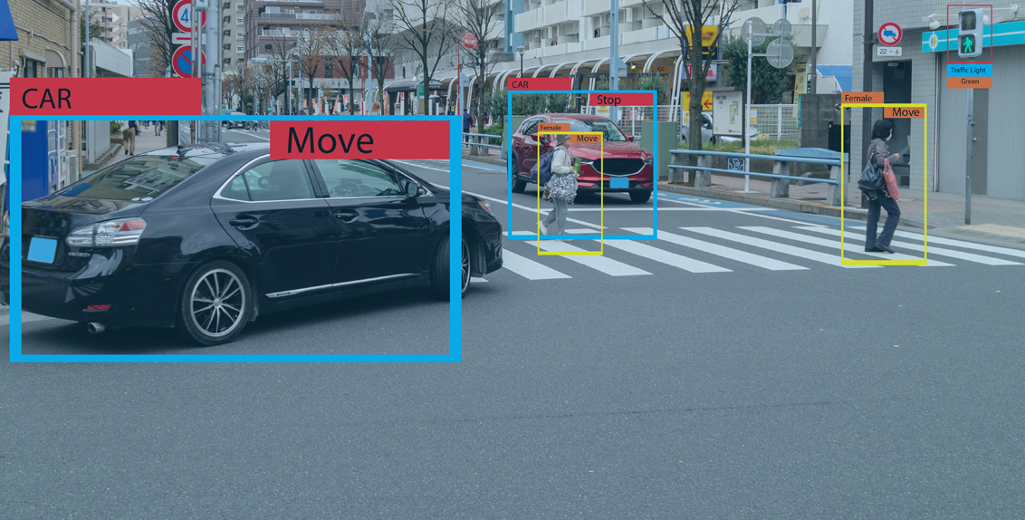 Annotation & Labeling | RMSI
