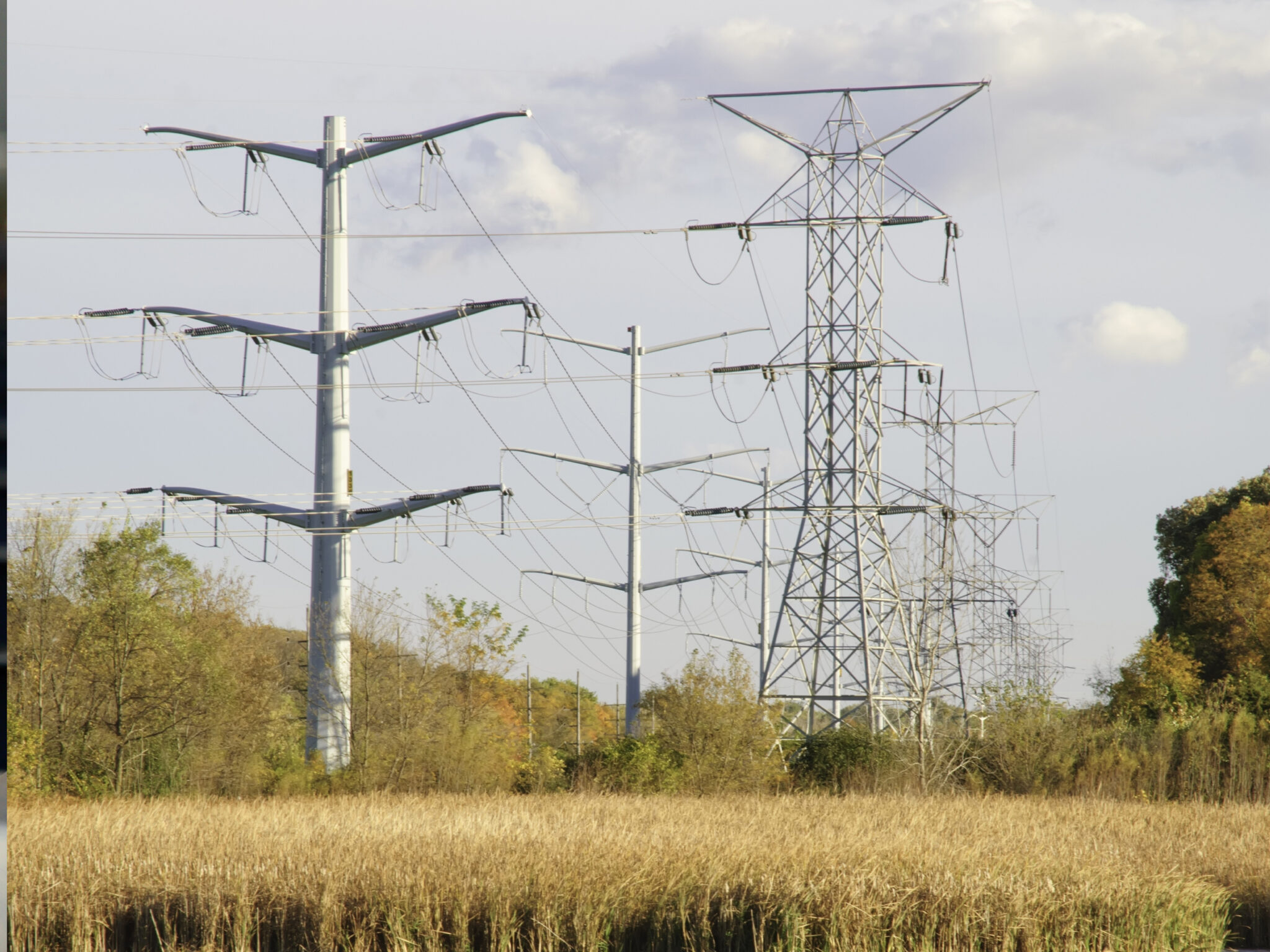 Case Study - Streamlining Vegetation Management with Technology-Driven ...